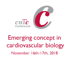 CNIC - Desde la investigación a la salud